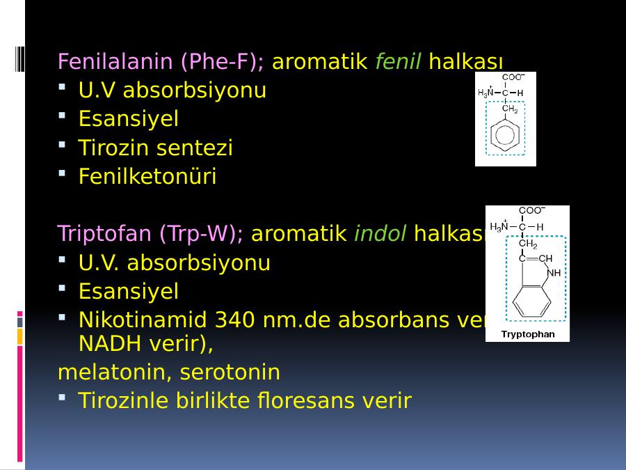 Akademik Sunum
