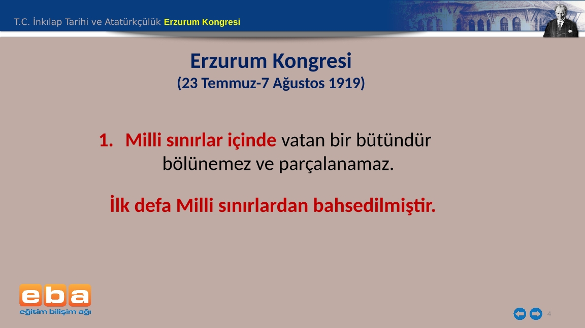 Akademik Sunum